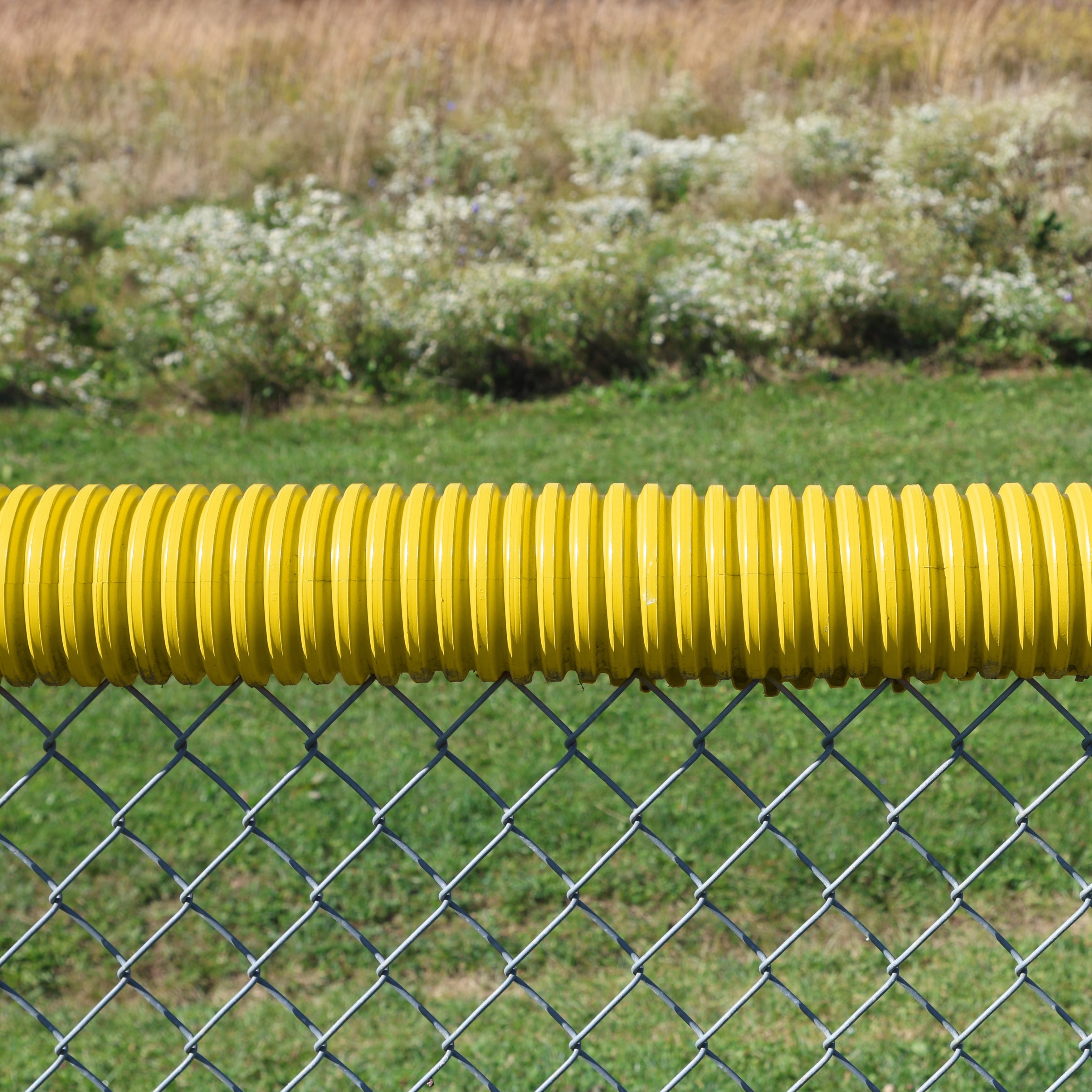 Baseball Fence Poly Cap 250' Fence Topper - Ready To Install (Yellow ...